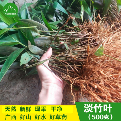 新鲜淡竹叶现挖山鸡谷鲜品山鸡米