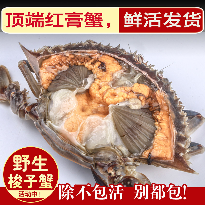 [保鲜不保活]连云港梭子蟹红膏特大母蟹新鲜到家螃蟹梭子蟹批发
