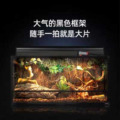 新派宠物reptizoo树栖爬宠饲养箱变色龙蜥蜴蛇爬虫玻璃造景雨林缸