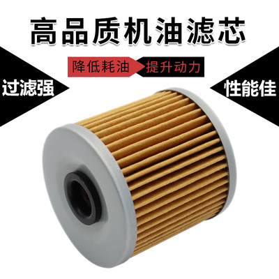 cyleto适配川崎KLR250 KLR600 KLR650 KEF300豪客黄川250机油滤芯
