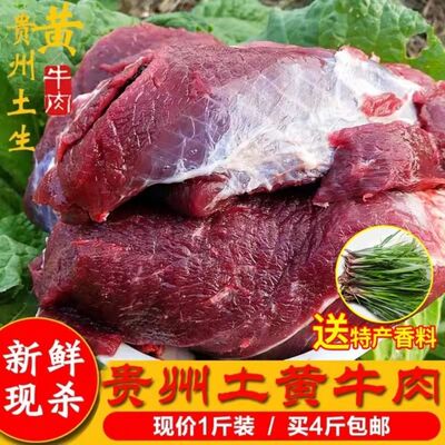 贵州新鲜黄牛肉农家散养土牛肉