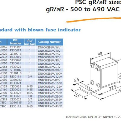 DN000GB69V100V 100a 690v Q330110熔断器 Protistor全新正品