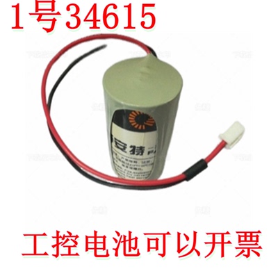 孚安特ER34615H3.6v容量型