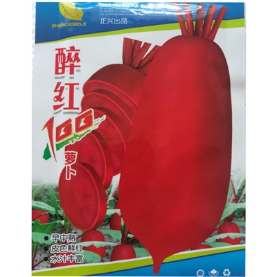 红水果萝卜种籽大面积种植