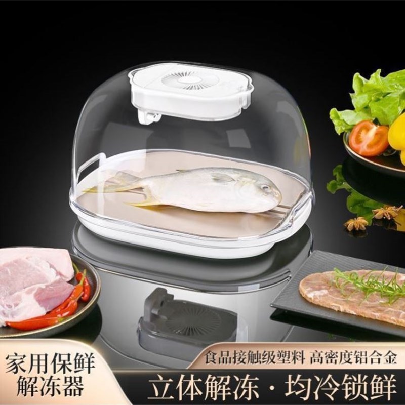 适用器家用牛排冻肉快速解冻锁鲜保鲜肉类化冰R沥水多功能解冰器