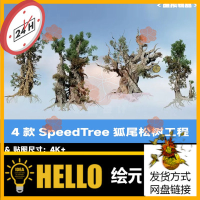 4款SpeedTree狐尾松树源工程 树木软件SpeedTree工程文件 spm
