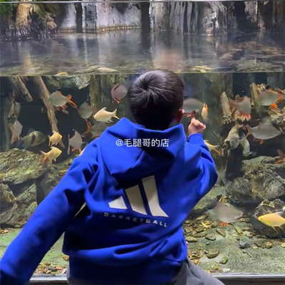 Adidas儿童休闲运动舒适连帽卫衣