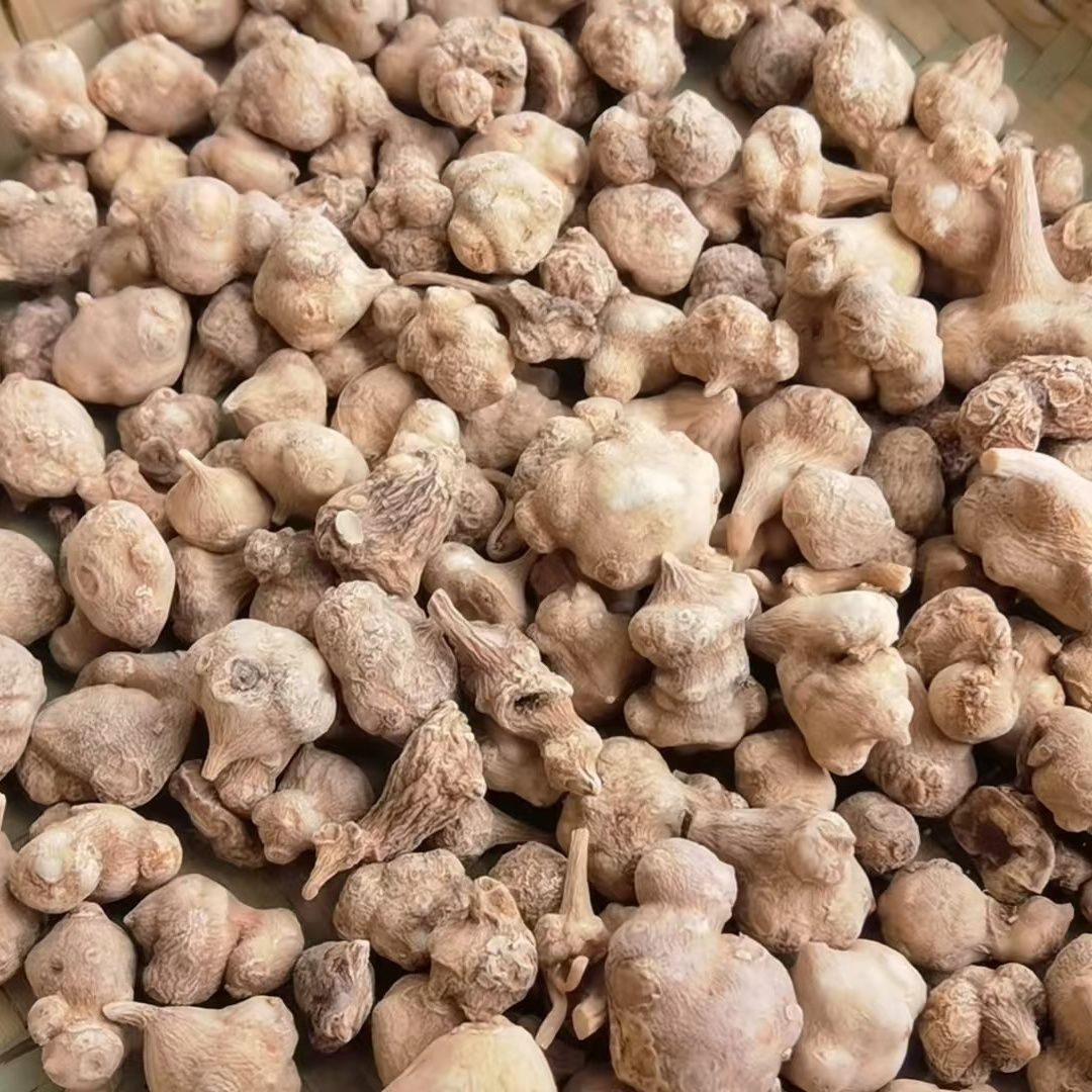 西藏芒康纽扣三七 珠子参