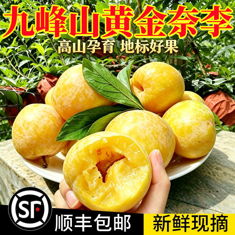 乐昌九峰山黄金奈李新鲜水果应当季时令整箱特产脆甜李子鲜果现摘