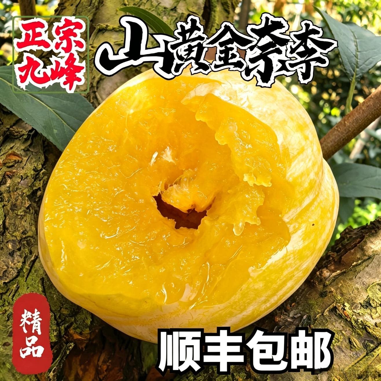 乐昌九峰山黄金奈李脆甜李子应季时令新鲜当季水果现摘顺丰包邮