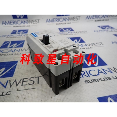 工业配件PDD22G0100TFFL 2极100A 240V PDD2断路器