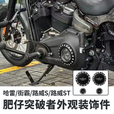 哈雷软尾肥仔路威ST改装离合边盖