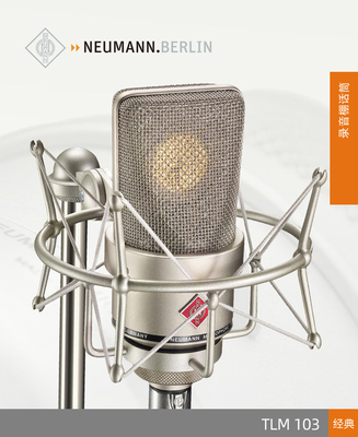 NEUMANN诺音曼tlm103电容麦