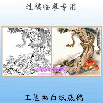 D28精品工笔画白描实物底稿线描稿动物类十二生肖之灵蛇盘松斗方