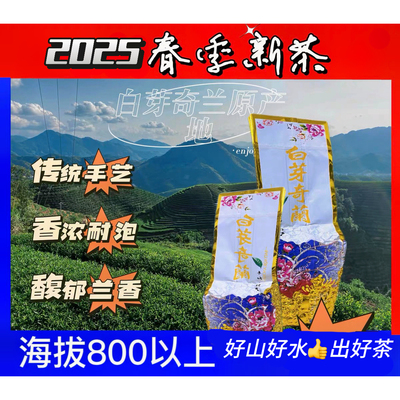 平和彭溪村2025春茶浓香型白芽奇兰251g平和白芽奇兰茶乌龙茶茶叶