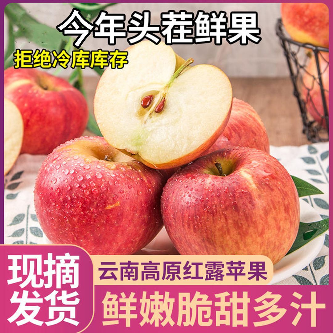 【云南昭通红露苹果】脆甜多汁非红将军红富士5斤新鲜水果代发