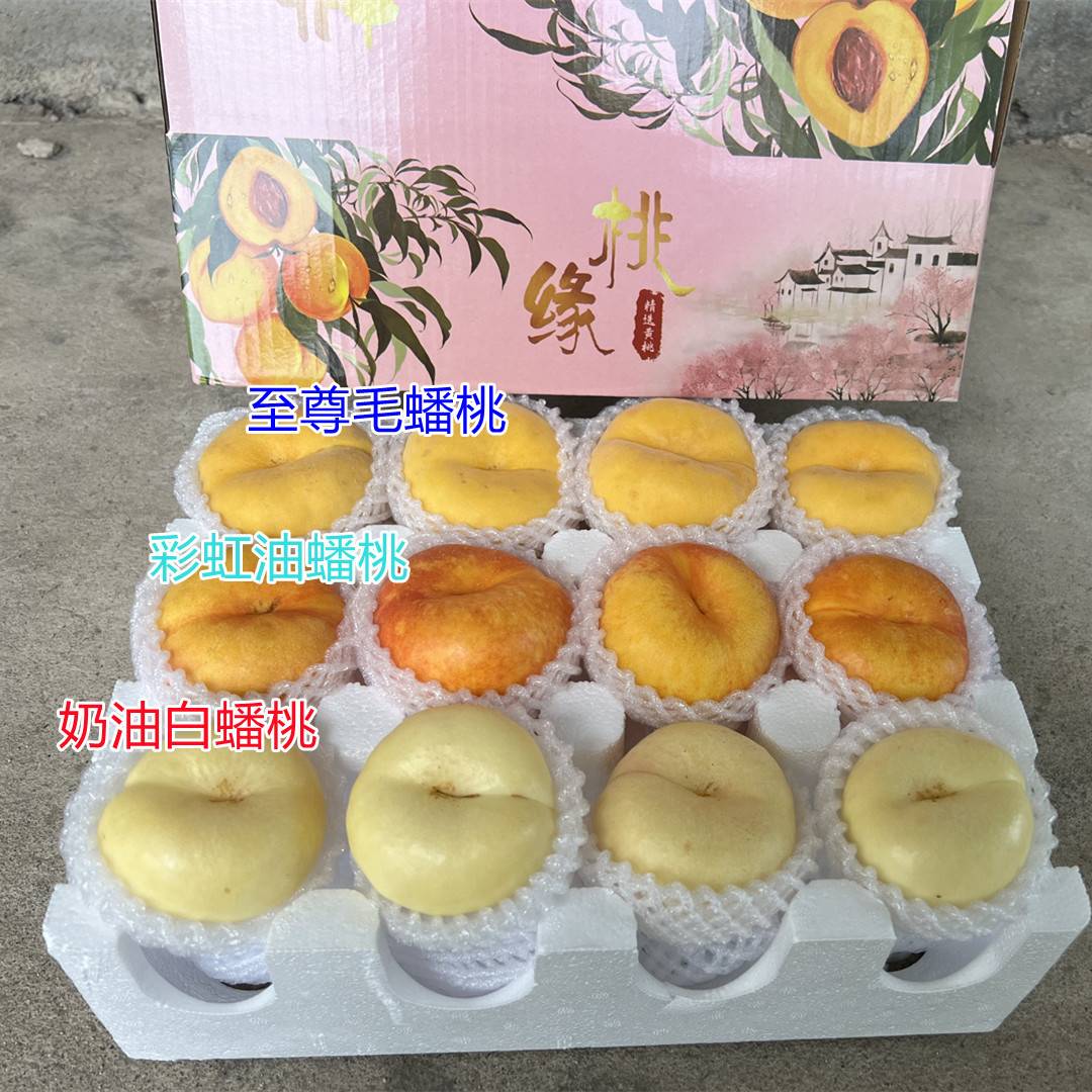 【蒙阴新三蟠组合】至尊毛蟠+奶油蟠桃+彩虹油蟠5斤新鲜水果代发