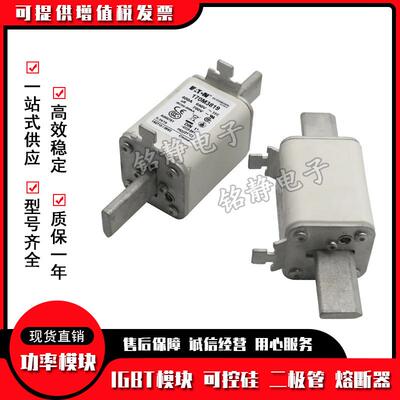 170M3957 170M3958 170M3959 170M3960巴斯曼熔断器170M3961
