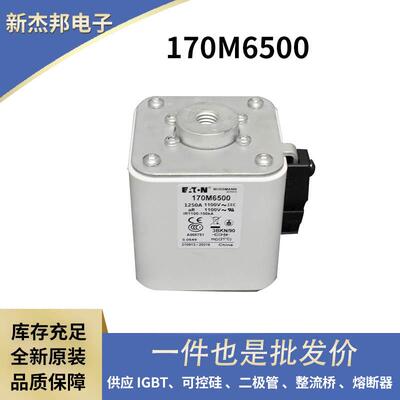 170M6207 170M6258 170M6259高压快速熔断器 熔芯 原盒原包