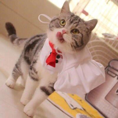 1 SetPet Cooking King Hat Chef Hat Set Adjustment Funny