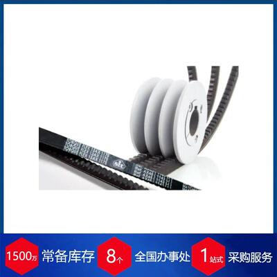 西班牙Dinamica同步皮带SIT TORQUE-FLEX