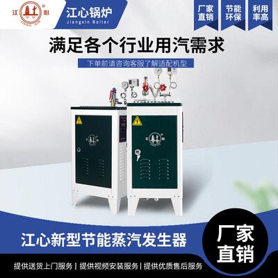 江心加热炉锅服装熨烫水泥桥梁养护蒸电汽发LDR-0.00生器蒸汽锅炉