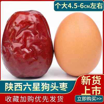 狗头枣陕北延安清涧狗头枣特大大枣陕西特产六星大枣西安特产送礼