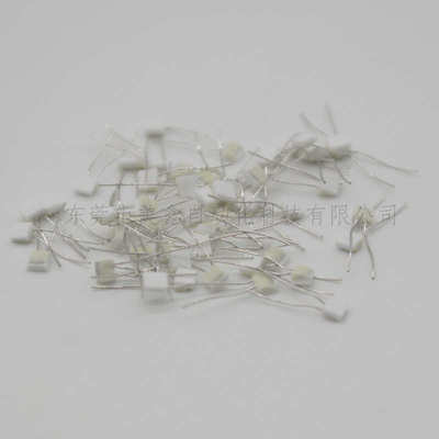 铂热电阻芯片IST两脚PT100 A级