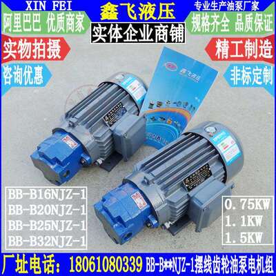 BB-B16NJZ-1 B20NJZ B25NJZ B32NJZ内轴式摆线齿轮油泵电机组装置
