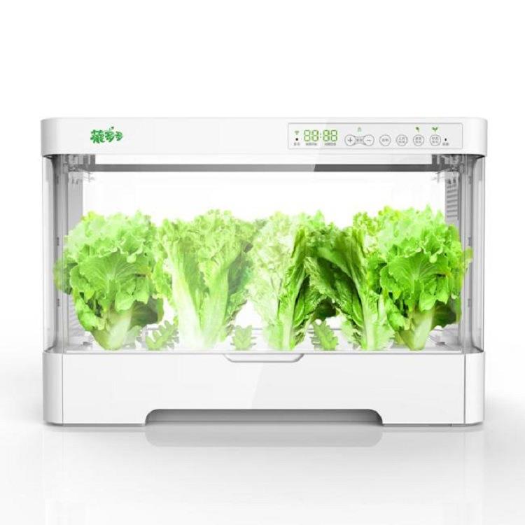 菜多多无土栽培自动化设备智能家庭室内水培蔬菜草莓番茄种植箱