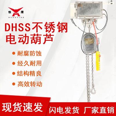 厂家直供恒鹰牌DHSS不锈钢环链电动葫芦环链电动葫芦起重葫芦