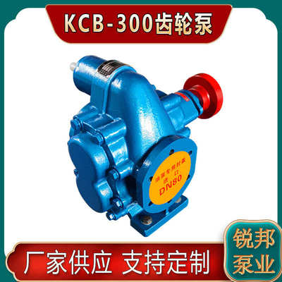 铸铁KCB300齿轮泵 机油润滑油电动输送泵 汽柴油抽油泵
