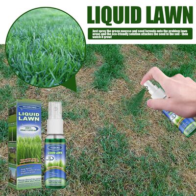 Yegbong Green Lawn Spray - Concentrated Nutrient Spray for G