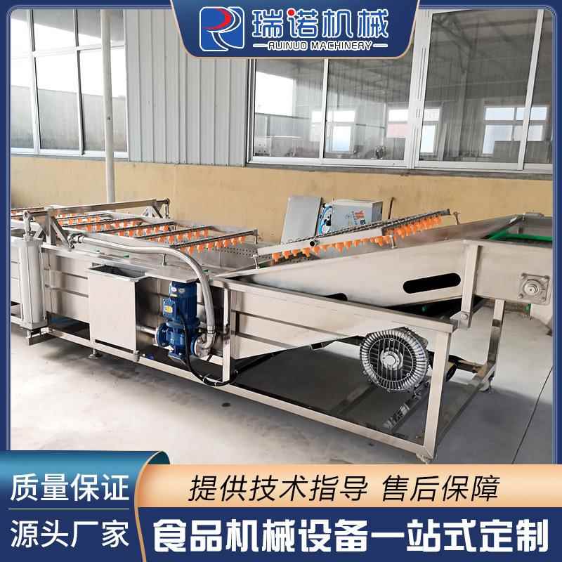 瑞诺气泡清洗流水线 全自动气泡喷淋式果蔬清洗机 净菜加工设备