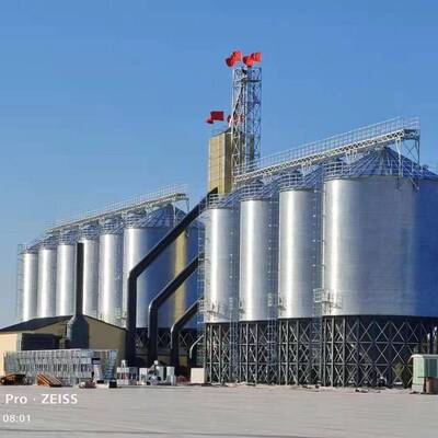 1000吨稻谷立筒仓厂家生产农场用施工快捷n