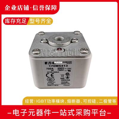 170M5593170M5594170M5595170M5596170M5597170M5598熔断器