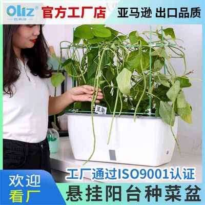 欧林泽花盆家专用菜盆简约阳台种菜用A207盆特号种菜盆自大吸种水