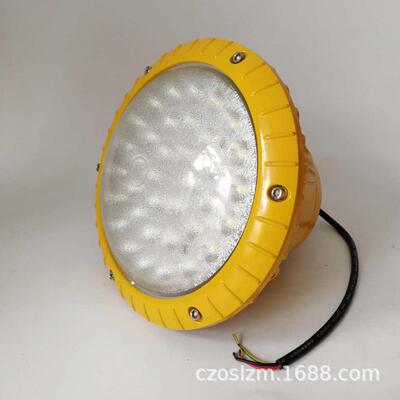 LED防爆壁灯HRD92 喷砂房油漆房造纸厂照明平台弯杆灯70W80W100W