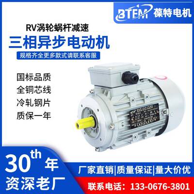 厂家马达YE2 8024 750W三相异步铝壳减速电机 RV涡轮蜗杆减速电机