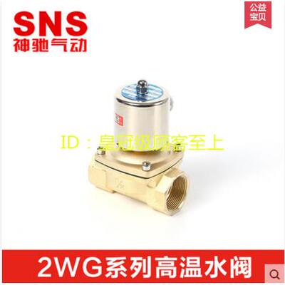 SNS神驰高温全铜电磁阀2WG025 040 160 200 250-08 10 15 20 25