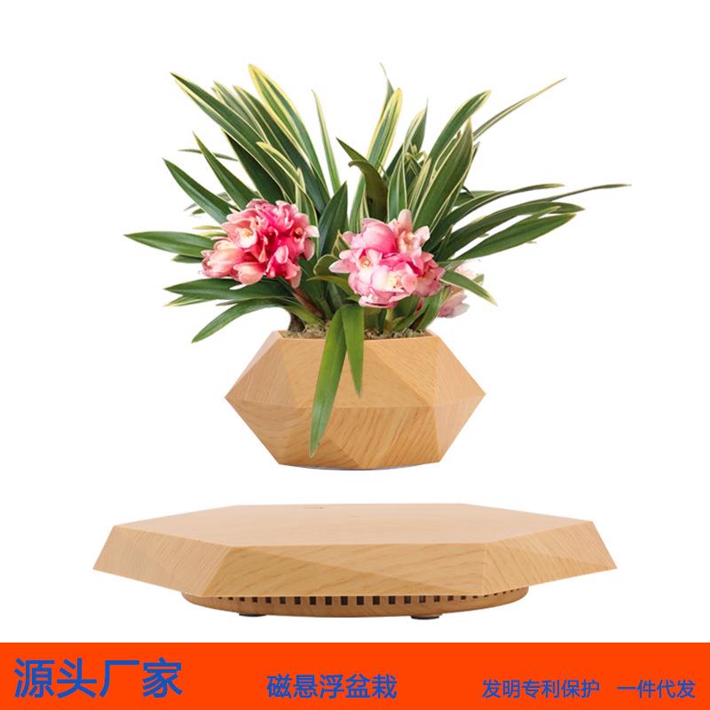 办公室简约创意北欧绿植盆栽木纹色塑料多肉磁悬浮盆栽花盆摆件