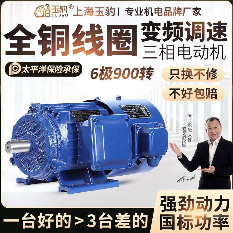 YVF变频调速电机 0.37KW-315KW低速6极900转 三相异步电动机380V