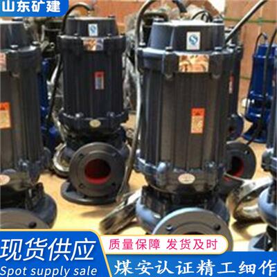 小型家用WQD无堵塞潜水泵大流量排污泵河道污水污物潜污泵