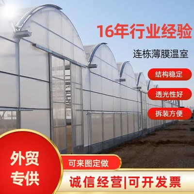 【专业出口厂家】种植棚 遮阳遮阴养殖暖棚 外遮阳连栋大棚
