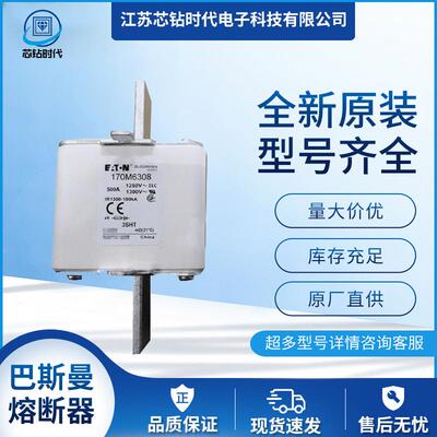 170M6367 170M6368 巴斯曼BUSSMANN熔断器保险丝