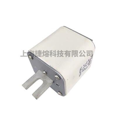 170M6145 170M6142 快速熔断器 保险丝 电子元器件 量大价优