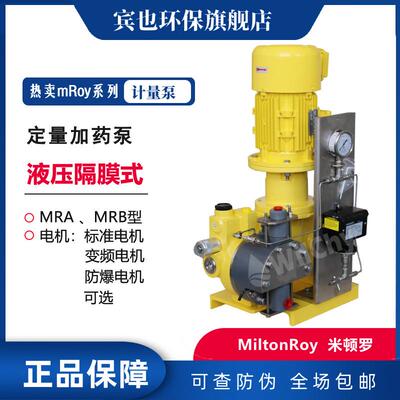 泵mRoy型MRB12-R19R12R10双隔膜破裂检测计量泵