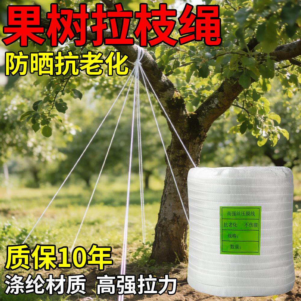 拉树专用绳子压膜大棚专用配件防风扁绳子结实耐磨塑料尼龙绳加厚