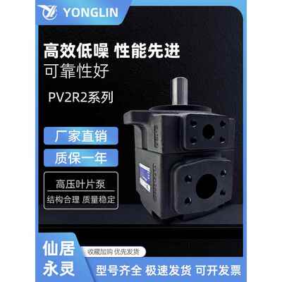 仙居YLC永灵PV2R2-26/33/41/47/53/59/65/70/75/80RAF1高压叶片泵