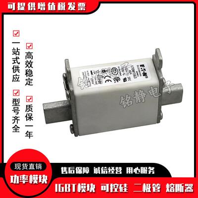 熔断器保险丝170M1558 170M1559 170M1560 170M1561 170M1562